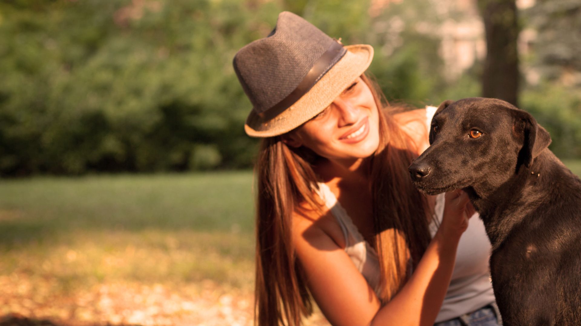 Privacy Policy | IAAHPC